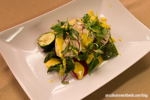 HOW TO: Salad of Kidderton Ash In-Flight Plating - Air Culinaire Worldwide